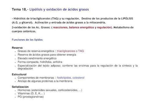 PDF Tema 18 Lipólisis y oxidación de ácidos grasos DOKUMEN TIPS