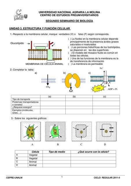 BIO SEMI2 II biología Y Esther Montoya uDocz