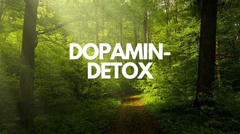 Warum Dopamin Detox So Wichtig Ist Youtube