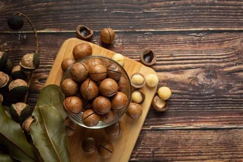 Noix de macadamia un fruit à coque dont on ne parle pas assez