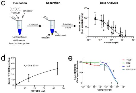 Novel Method For Quantifying AhR Ligand Binding Affinities Using