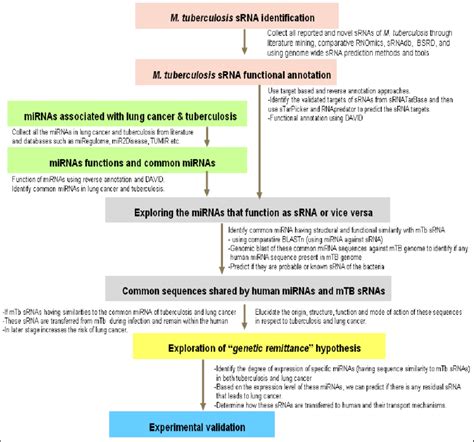 the integrated bioinformatics and experimental validation strategy to download scientific