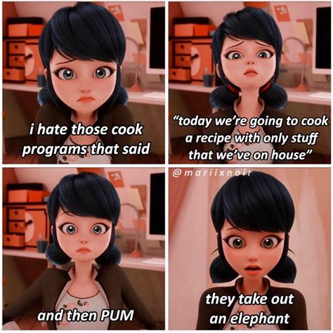 Miraculous Meme Xd Miraculous Ladybug Funny Miraculous Ladybug Memes