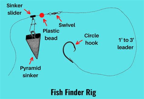 Best Pier Fishing Rigs Setup Fishing Guide W Pictures