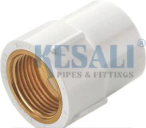 Standard UPVC Brass FTA For Structure Pipe At Rs 40 Piece In Rajkot