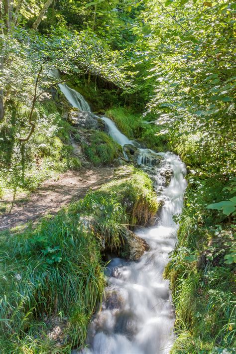 Fotos gratis paisaje árbol naturaleza bosque rock cascada