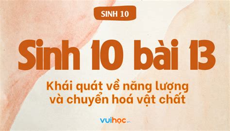 Sinh 10 bài 13 VUIHOC Khái quát về năng lượng và chuyển hoá vật chất