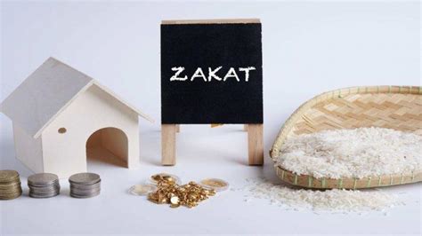 Perbedaan Zakat Fitrah Dan Zakat Mal Ketahui Waktu Yang Tepat Untuk