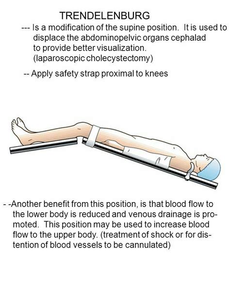 Patient Positioning Cheat Sheet Complete Guide For Atelier Yuwa