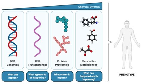 metabolites free full text toxicometabolomics small molecules to answer big toxicological