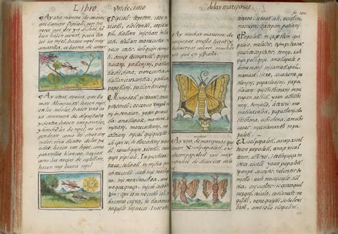 Uc Expert Led Digitized Version Of Florentine Codex Allows Access To
