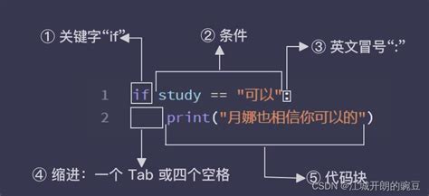 python条件语句深度解析：从基础到应用的全面指南