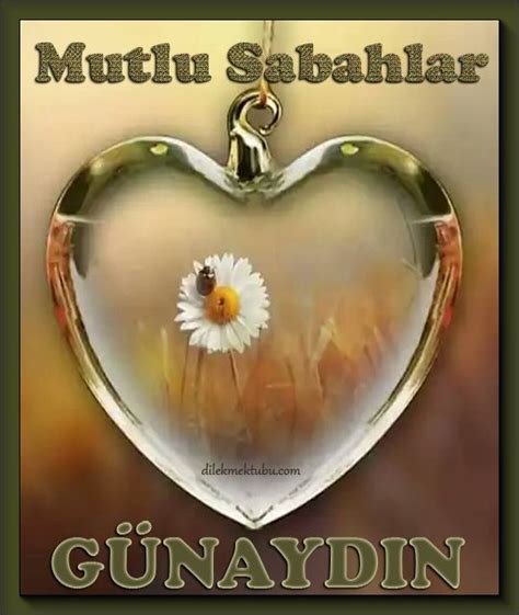 Mutlu Sabahlar Dilek Mektubu