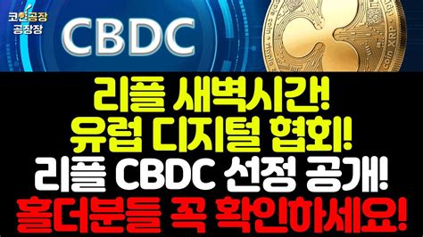 리플 새벽시간 유럽디지털협회 리플 CBDC 선정 공개 홀더분들 꼭 확인하세요 YouTube