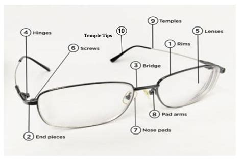 Anatomy Of Eyeglasses Eyegotcha