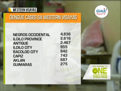 One Western Visayas Dengue Cases Sa Western Visayas 558 Nga Mas