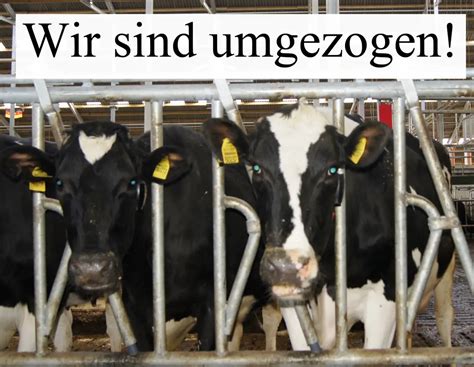 Der Neue Kuhstall Wartenburg Offizielle Website