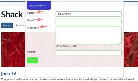 What Settings Are Available For Each Shack Forms Field Joomlashack