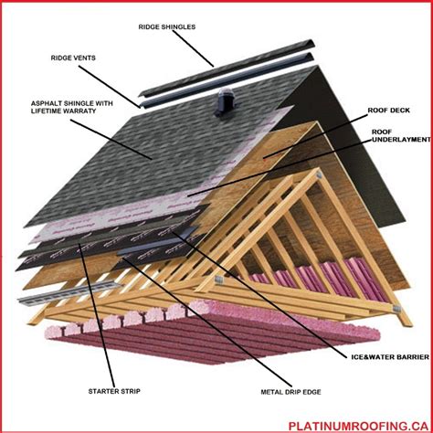 Diagram Of Roof Parts