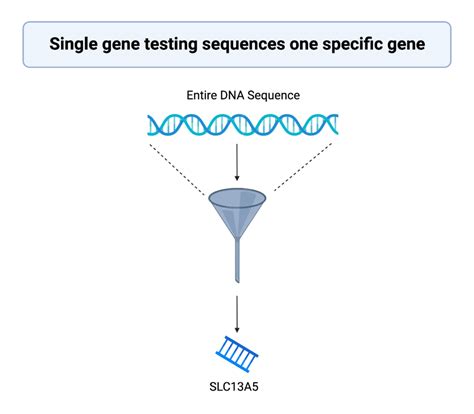 All About Genetic Sequencing TESS Research Foundation