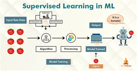 supervised learning algorithms