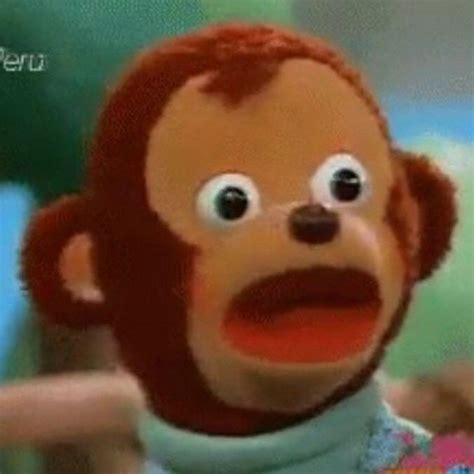 Pin By Bernice On Memes Moods Cute Memes Monkey Memes Funny Memes