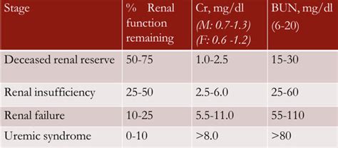 Renal Function Tests Flashcards Quizlet