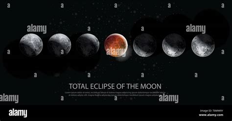 Eclipse Total de Luna ilustración vectorial Imagen Vector de stock Alamy