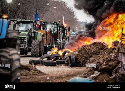 Nimes Francia 29 Gennaio 2024 PHOTOPQR LE MIDI LIBRE MIKAEL