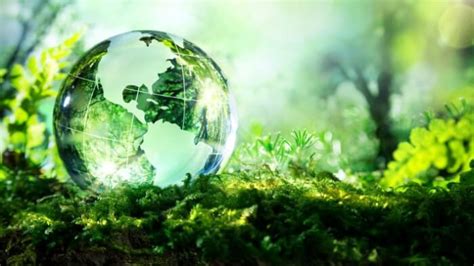 Biosfera Origen Qu Es Caracter Sticas Componentes Y M S