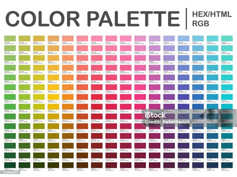 color palette popular colors color chart patterns and names rgb hex html vector color stock