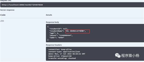 springboot整合多数据源，并支持动态新增与切换 csdn博客