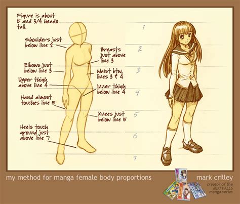 Drawing Female Body Proportions Anime Body Proportions Drawing Manga