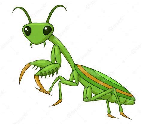 Cómo dibujar Una Mantis Religiosa Paso a Paso Muy Fácil 2024 Dibuja