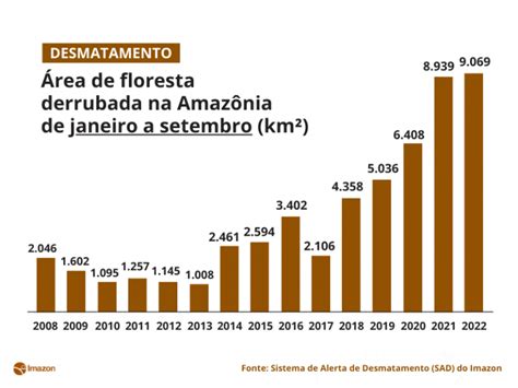Desmatamento acumulado até setembro corresponde a oito vezes a cidade