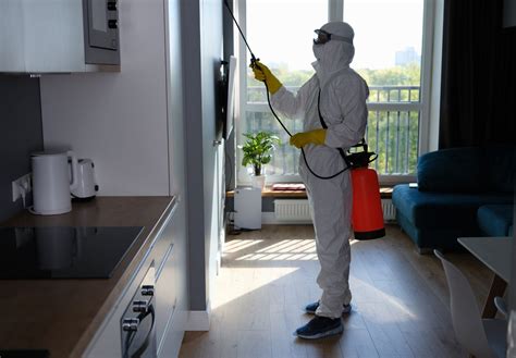 Lutte antiparasitaire Comment se débarrasser des souris dans une