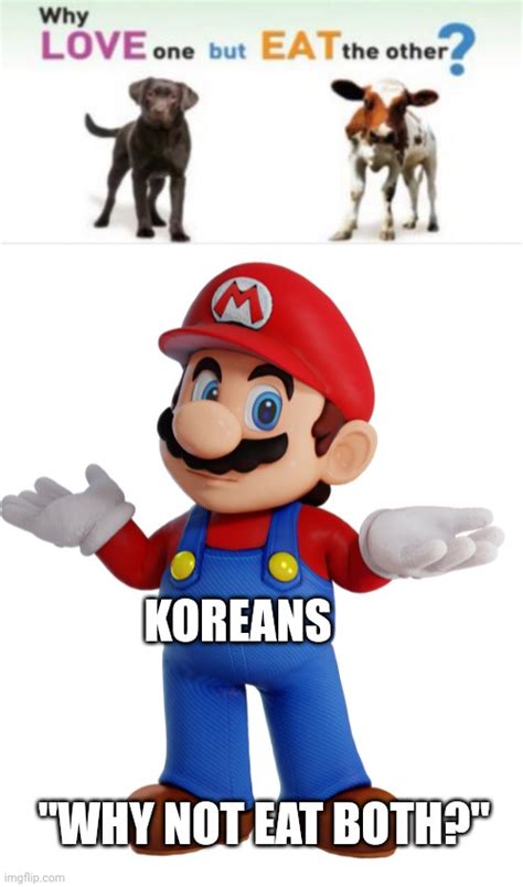 Why Not Both Imgflip