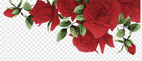 Fronteira De Rosas Vermelhas Rom Nticas Material Livre Material