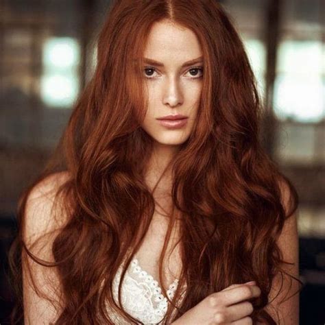 Cabelo Cacheado Ruivo Acobreado Escuro Cabelo Curto Ruivo Cacheado Fica