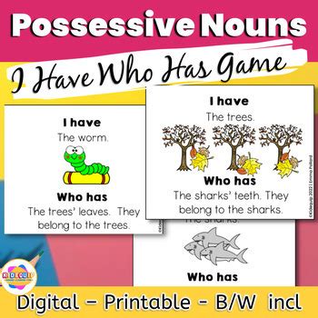 Possessive Nouns Anchor Chart Games Worksheets Easel Assessment By