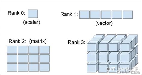 迷你教程 』pytorch 中的一维张量基础的操作 知乎