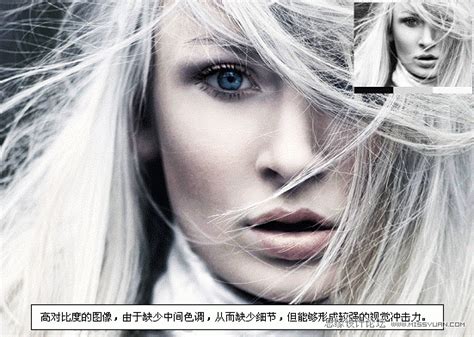 photoshop初学者教程：解析亮度对比度的原理 2 ps教程网