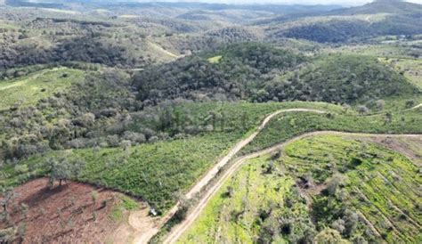 Herdade Venda Em S O Salvador E Santa Maria Odemira Idealista