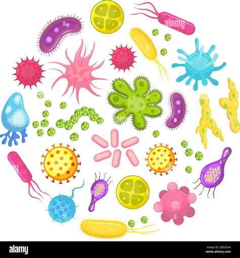 Microorganism Bacteria Virus Cell Disease Bacterium And Fungi Cells