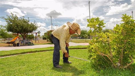NotiGAPE Parques y Jardines al cuidado de las áreas verdes