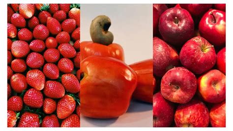 Você sabia Maçã morango e caju não são frutas Saiba o motivo