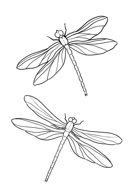 Dragonfly Tattoo Stencil Dragonfly Drawing Dragonfly Painting Line