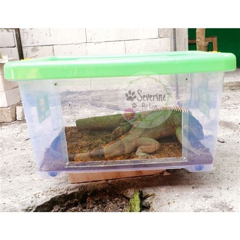 Jual Terrarium Iguana Kandang Iguana Kontainer Container Box Modif