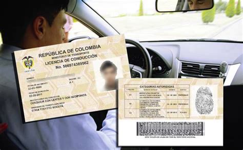 BLOG Renueva Tu Pase Licencias de Conducción Renovacion y