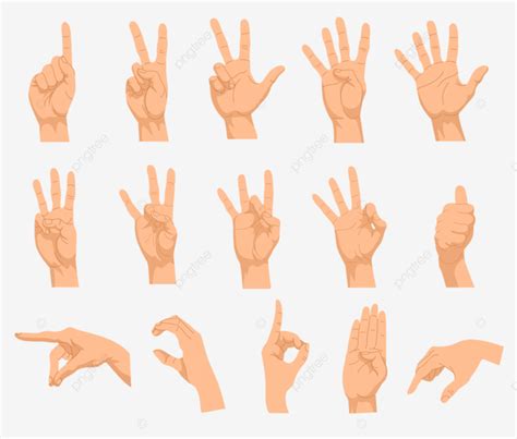 Set Of Different Hand Gestures Fist Human White PNG And Vector With